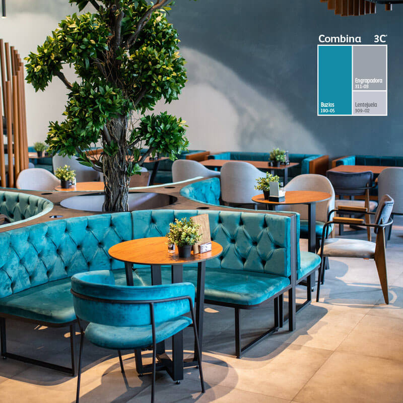 colores-en-una-cafeteria | Café